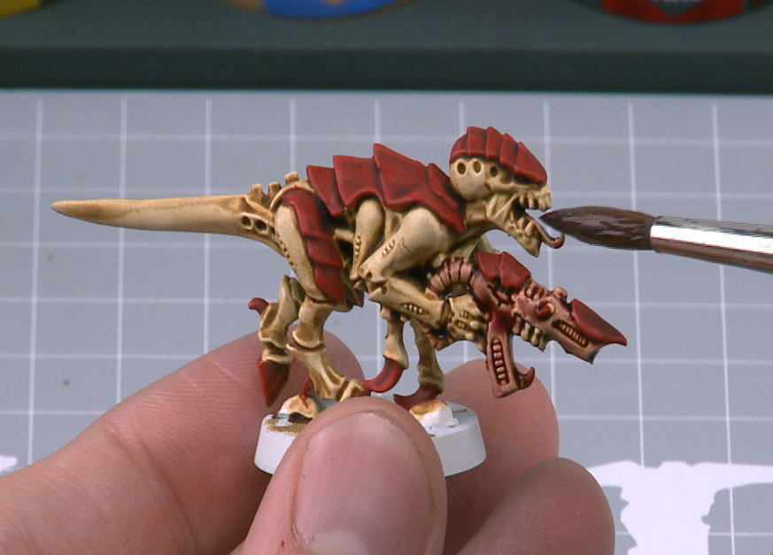 How To Paint Citadel Miniatures Dvd Download - enghotel